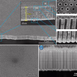 SEM Micrographs Of The Prepared TiO 2 Nanotube Arrays A Uniform TiO Download Scientific