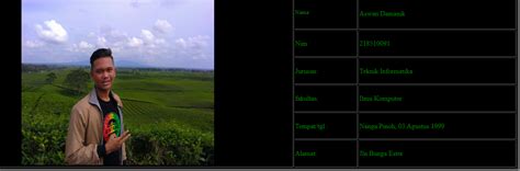 Cara Membuat Tabel Biodata Diri Dengan Html Membuat Biodata Diri Dengan Html Beinyu Udin