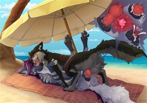 Rule 34 Animal Genitalia Animal Penis Animal Pussy Anus Balls Beach