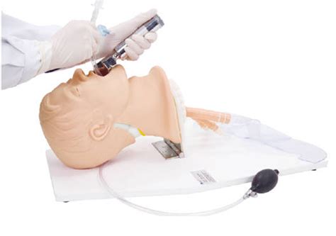 气管插管训练模型 天津天堰科技股份有限公司