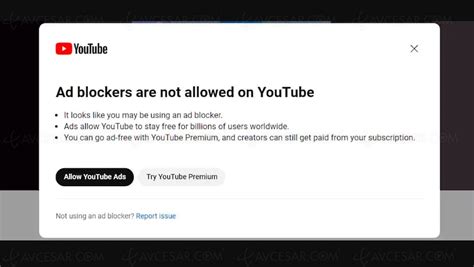 Youtube On The Hunt For â€œadblockâ€