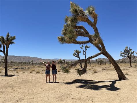 Untitled Heather Flickr