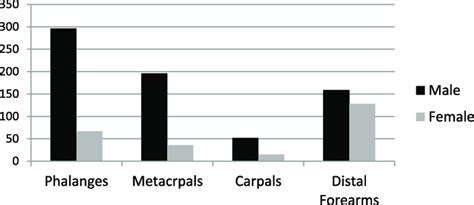 Figure E Chart Showing The Distribution Of Fractures Related To The Sex Download Scientific