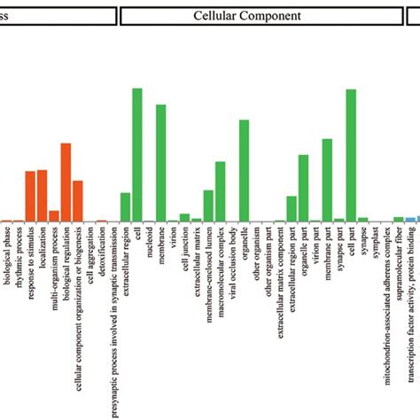 Go Classification For The Unigenes In P Yasumatsui Antennal Transcriptome Download