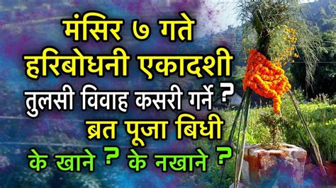 मंसिर ७ गते हरिबोधनी एकादशीतुलसी विवाह कसरी गर्ने ब्रत पूजा बिधी के