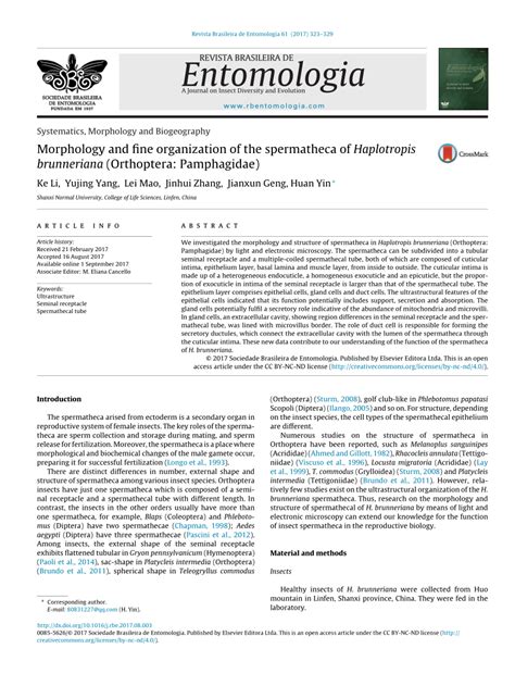Pdf Morphology And Fine Organization Of The Spermatheca Of