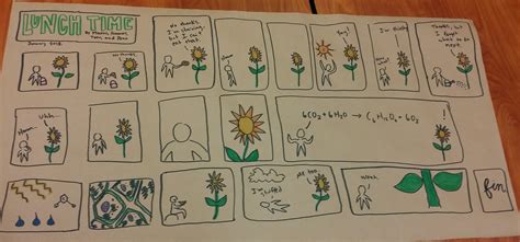 Photosynthesis Comic Strip Educational Resources Picstank