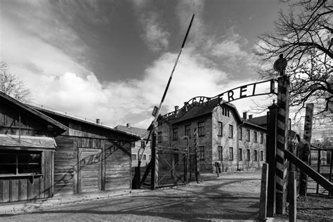 75 שנה לשחרור תיעוד מצמית של אושוויץ בירקנאו מגזין לגיט Legit Magazine