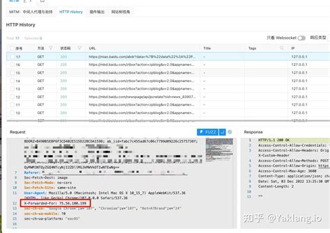 Yakit实战技巧：用mitm热加载任意修改流量 知乎
