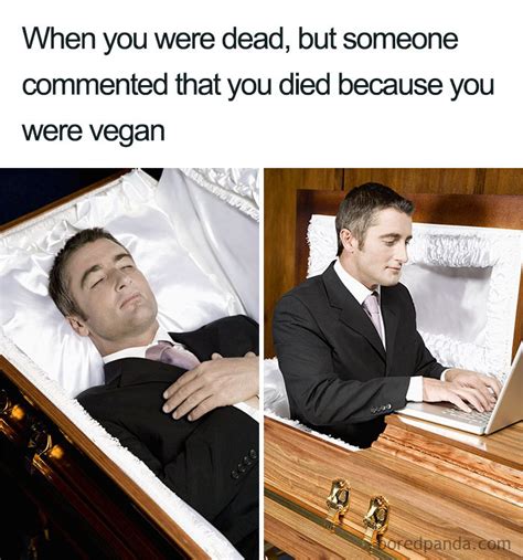 35 Hilariously Funny Vegan Memes Bored Panda