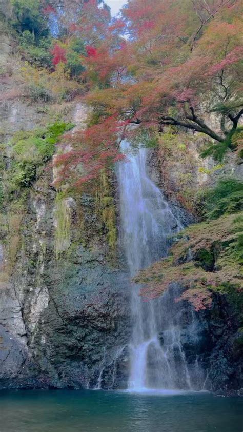 チャコ Chyako Chyako Twitter