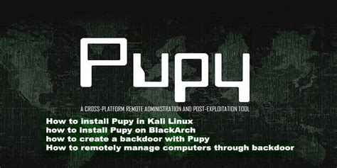 Pupy Remote Administration Tool Detailed Tutorial Rkalilinux