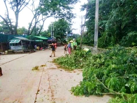 ဒေါပုံမြို့နယ်၊ နွယ်အေးရပ်ကွက် မင်းရဲကျော်စွာလမ်းရှိ လျှပ်စစ်မီးကြိုးနှင့် လွတ်ကင်းမှုမရှိသော သစ