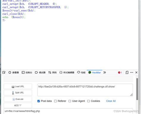 CTFSHOW web入门 SSRF ctfshow ssrf CSDN博客
