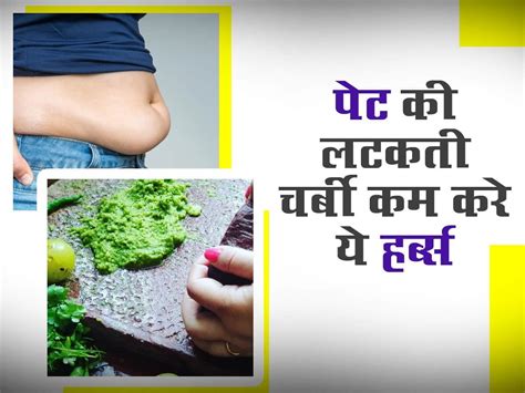 Pet Ki Charbi Kam Karne Ki Dawa फूलते पेट की चर्बी को पिघला सकती ये