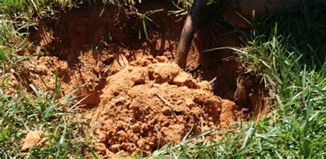 The Homeowners Guide To Septic Dye Testing 2025 Todays Homeowner