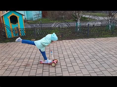 Посетили грумера На щенка напал огромный паук - YouTube