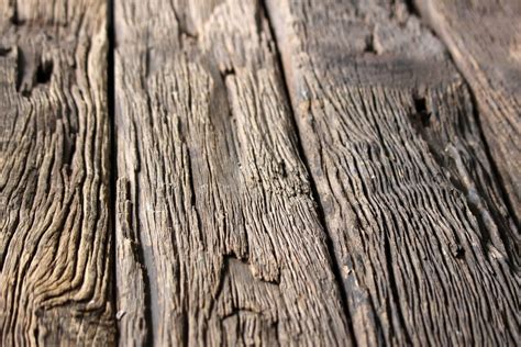Rough Wood Texture Free Stock Photo Public Domain Pictures