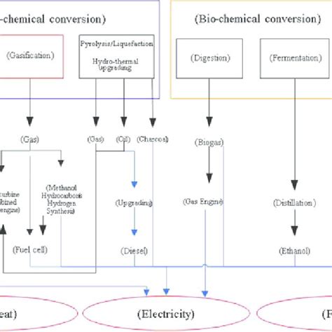 A Scheme Of The Biochemical Conversion Route For Biofuels Production Download Scientific