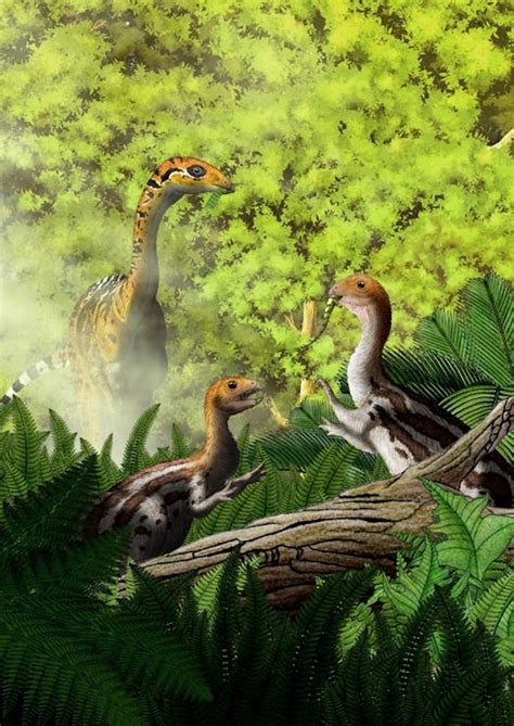 Dinosaur Fossils Reveal Why Birds Dont Have Teeth
