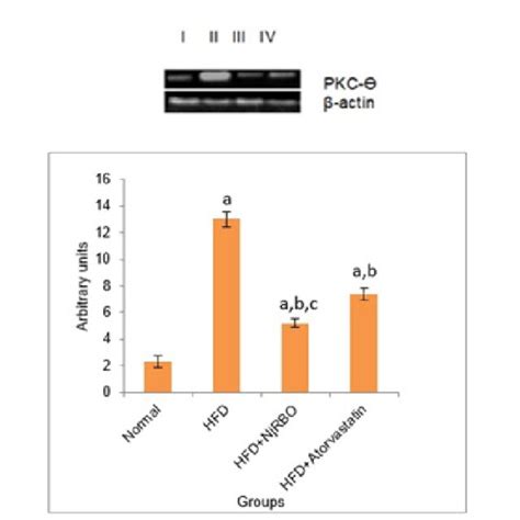 Expression Analysis Of Protein Kinase C θ Pkc θ In Isolated T