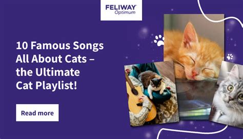10 Famous Songs All About Cats The Ultimate Cat Playlist Feliway