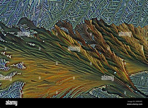 The Image Presents Crystallized Mixture Of Urea And Paracetamol