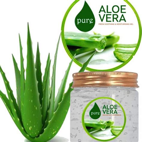 Pure Aloe Vera Gel Box At ₹ 38piece In Jaipur Id 2854148018048
