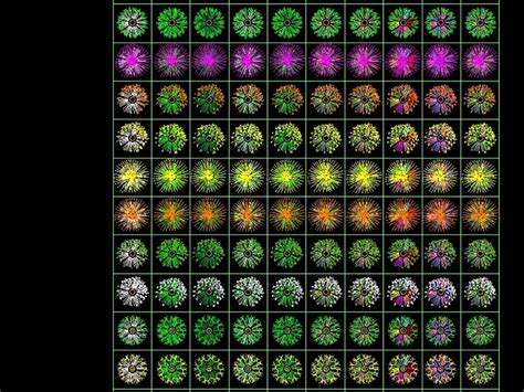 Tree Block Plan In Top View In DWG KB CAD Library