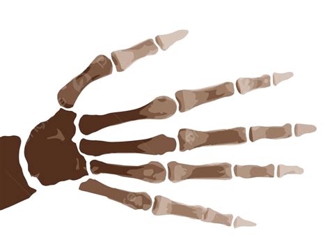 Boney