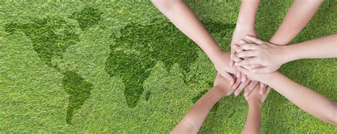Better Cotton Launches Delta Framework For Streamlined Sustainability Reporting Just Style