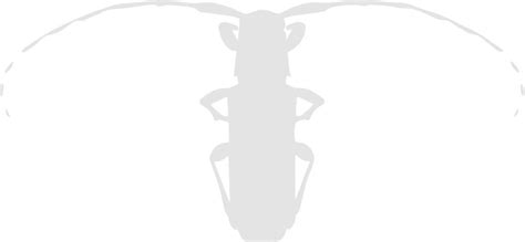 Dectes Stem Borer Management In Soybeans Fs 1196 University Of