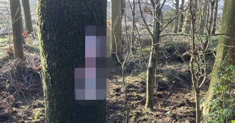 Couple Shocked To Find Sex Pictures Screwed To Tree In Family Woods Lancslive