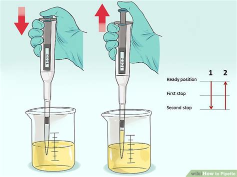 How To Pipette 8 Steps With Pictures