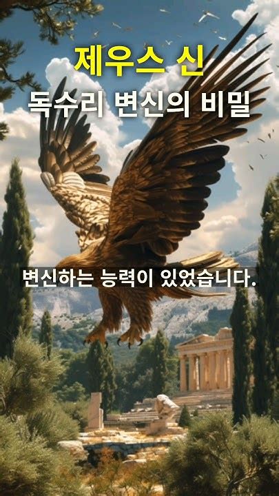 제우스 독수리 변신의 비밀 Youtube