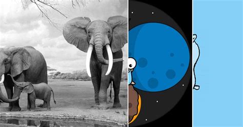List Golang Curated By Samuel Pandohan Terampil Gultom Medium