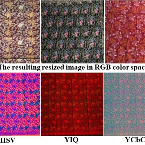 The Pre Processing Image Results A Resized Image In Rgb Color Space