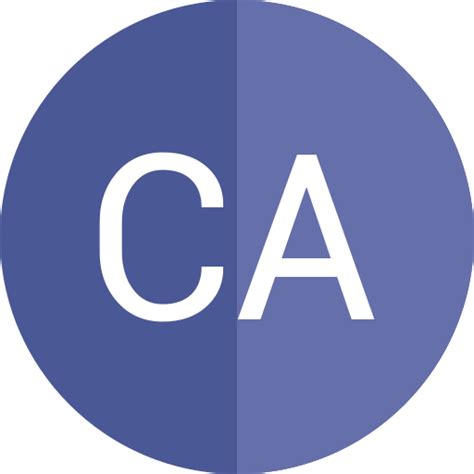 Ca Generic Color Fill Icon