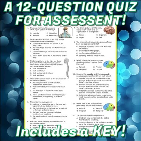 Powerpoint Nervous System Pp Pack By Travis Terry Tpt