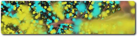 Bioexplorer The Blue Brain Bioexplorer Bbbe Is A Tool For Data Visualization Experts And