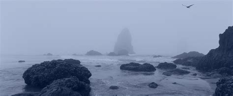 Anne Leigh Parrish Writer Award Winning Writer Poet Photographer