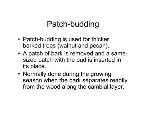 Plant Propagation Methodologies Ppt