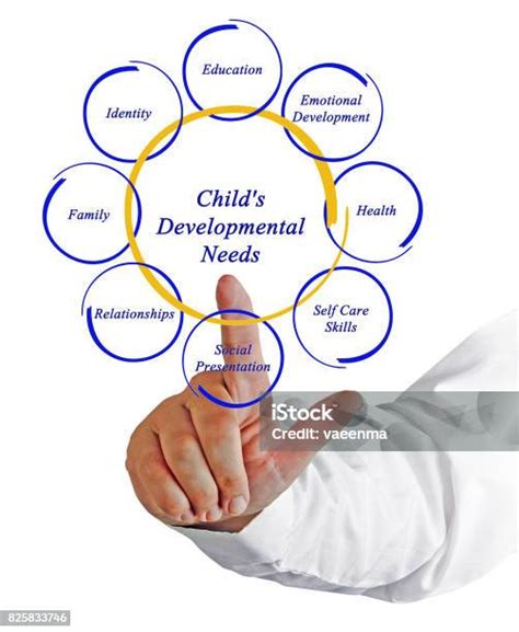Photo Libre De Droit De Diagramme Des Besoins De Développement De