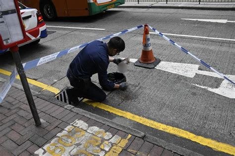 湾仔2巴西龟被掟落楼1被巴士辗毙1生还 男子涉虐待动物被捕 Nestia