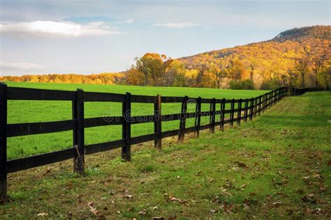 The Grass Is Greener On The Other Side Stock Image Image Of Beauty