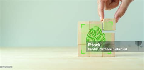 Fingerprint Scanning Identification System Biometric Authorization And Personal Security Green