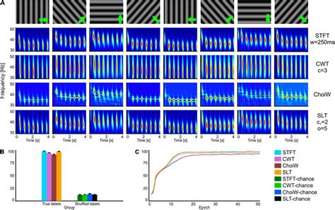 Intracranial Electrophysiology With Srcs Visual Stimulation Protocol