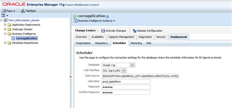 Obiee Customizations