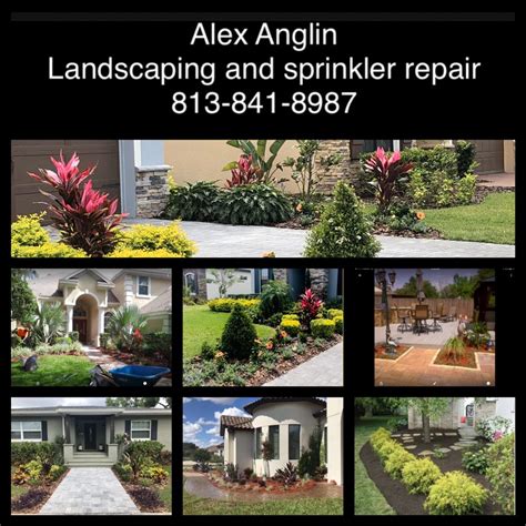 Alex Anglin Lawn Care Specialist Updated August 2024 99 Photos Tampa Florida