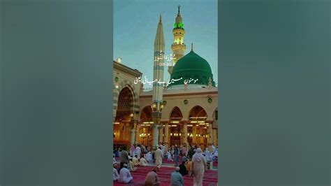 Jo Log Es Bat Ko Pasand Krty Hn K Mominun M Behayai Phaly Youtube